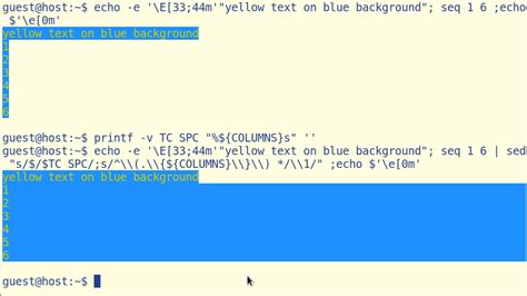 Bash Extending Terminal Colors To The End Of Line Stack Overflow