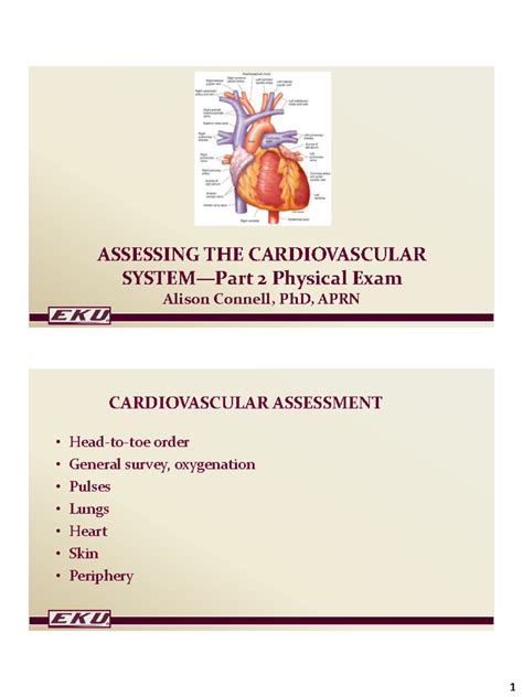 Cardiovascular Part 2 Physical Exam Assessing The Cardiovascular