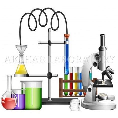 Specific Migration Testing Services At ₹ 199sample In Ahmedabad Id
