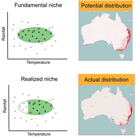 Ecology Exam 2 Flashcards Quizlet