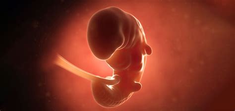 ابطال پروانه فعالیت پزشکان در پی انجام سقط جنین غیرقانونی فیلم