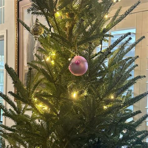 12 Sided Sex Position Dice Sex Position Dice Ts For Couples Etsy 12 Sided Sex Position Dice Sex Position Dice Ts For Couples Etsy