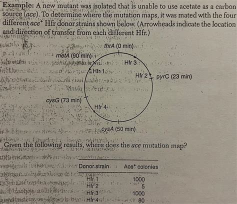 Rationale Hfr Donor Strains Can Transfer Chromosomal
