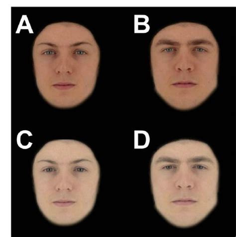 Sexually Dimorphic Shape And Colour Transforms Of Male Facial Download Scientific Diagram