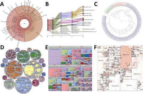 Visualizing Metagenomic And Metatranscriptomic Data A Comprehensive Review Computational And