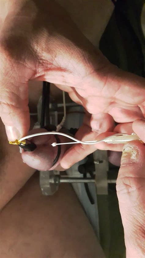 Ball Dick Head And Shaft Needles