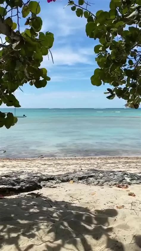 Nina Agdal Scrolller