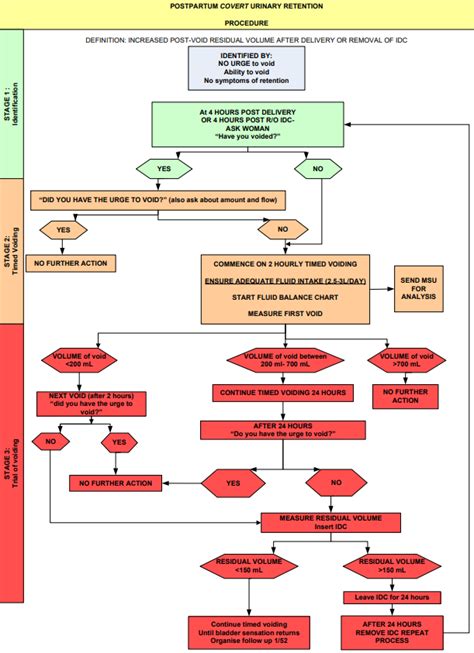 A Brief Overview About Postpartum Urinary Retention Auctores