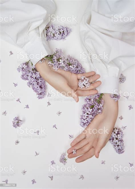 라일락 꽃과 꽃잎으로 만든 손에 대한 천연 여성 화장품 손의 피부를 촉촉하게 하고 부드럽게 합니다 팔소매에서 튀어나온 라일락 꽃 개념에 대한 스톡 사진 및 기타 이미지