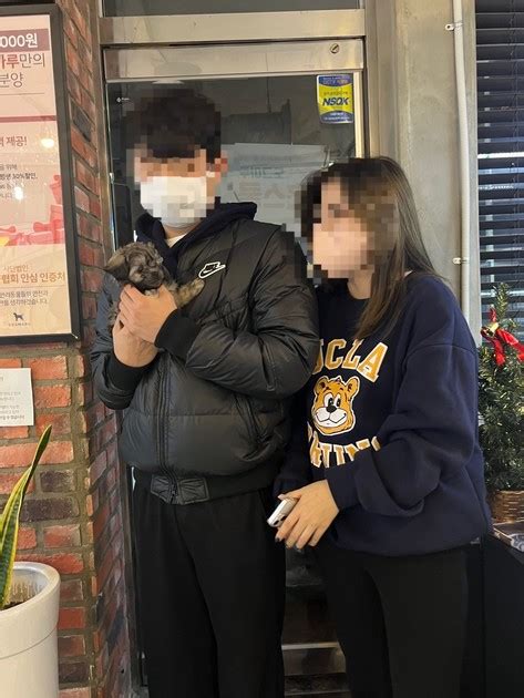 말티푸 앵두 미니먼치킨전문 미니랙돌전문 미니브리티쉬숏헤어전문 미니스코티쉬폴드전문 미니러시안블루전문 미니강아지전문 미니고양이전문 토이비숑프리제분양 토이포메라니안분양 토이말티즈