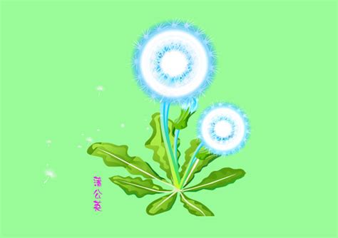 矢量蒲公英flash动画 站长素材