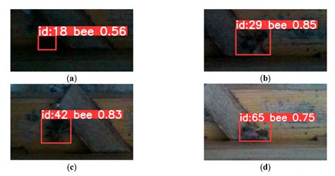 A Honey Bee In And Out Counting Method Based On Multiple Object