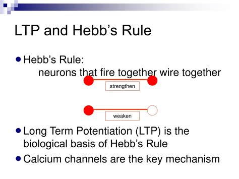 Ppt Neural Constraints On Connectionist Models Of Word Recognition A