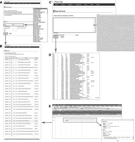 Screenshots Of Data Retrieval And Display Interface A Screenshots Of