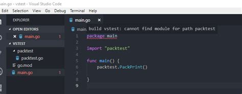 User Written Packages Fail To Import With Gomod Go111modon · Issue 1942 · Microsoftvscode