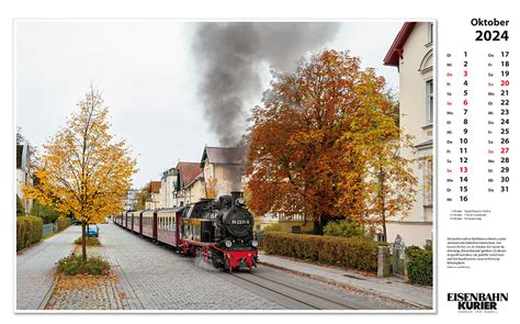 EK Shop | Molli 2024 | online kaufen