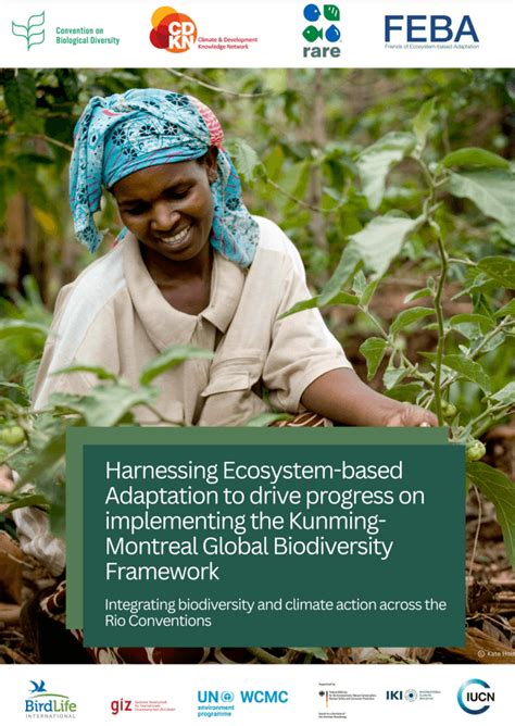 Harnessing Ecosystem Based Adaptation To Drive Progress On Implementing The Kunming Montreal