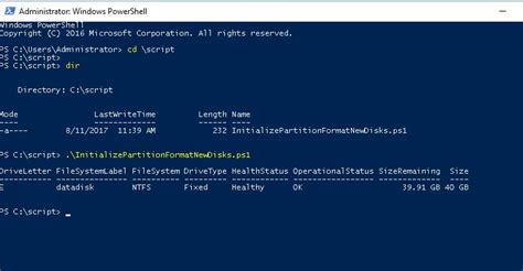 How Can I Initialise The Data Disk On Windows Server 2016 Servelet Simplercloud Pte Ltd