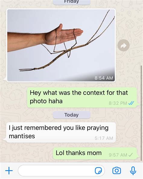 Wholesome Mom Scrolller