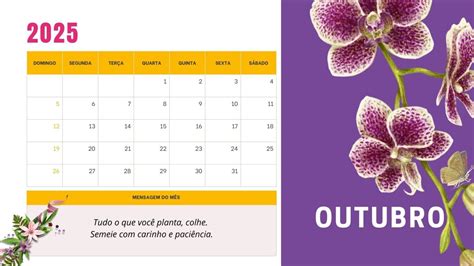 Calendário 2025 Para Imprimir Planeje Seu Ano Com Organização E Estilo