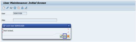 Sap Basis Lock User