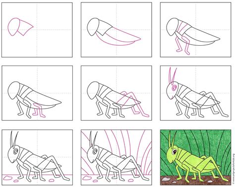 How To Draw Easy Cartoon Grasshopper At Darlene Huth Blog