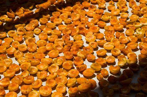 홈메이드 살구 건조 할 건조 살구 설탕에 절인 과일을 발코니 건강한 생활방식에 대한 스톡 사진 및 기타 이미지 건강한 생활방식 건강한 식생활 과일 Istock