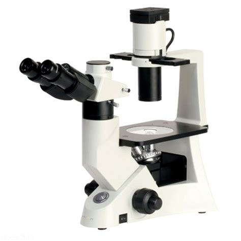 Inverted Phase Contrast Microscope Series Manufacturers Supplier And Exporters In India Uruguay