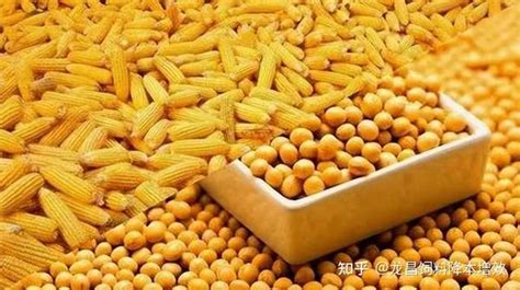 低蛋白日粮是饲料厂降本增效、摆脱成本压力的重要举措 知乎