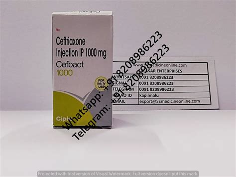 Cefbact 1000 Injection 1 Gm At Rs 24 Vial In Nagpur Id 2853970344888