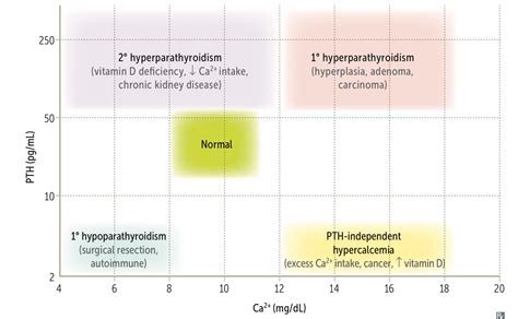 Hyperparathyroidism And Hypoparathyroidism