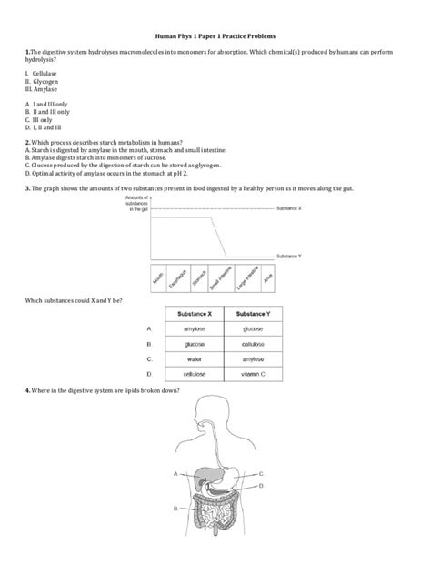 hp 1 practice problems pdf heart artery