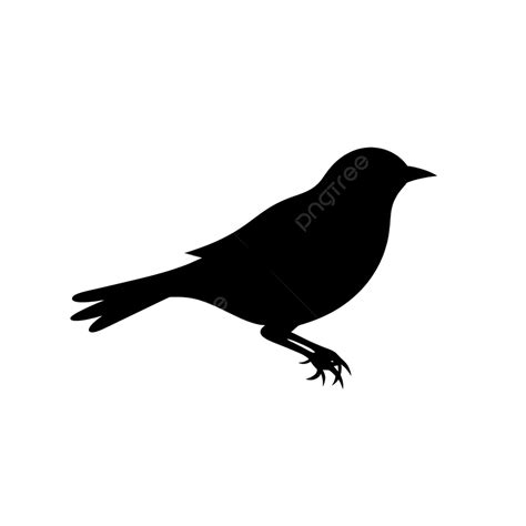 새 실루엣 단순한 평평한 파리 Png 일러스트 및 이미지 에 대한 무료 다운로드 Pngtree