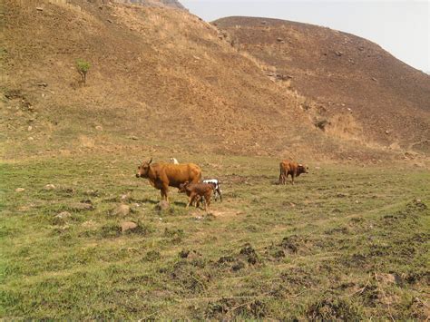 Max3010x Heart Rate Sensing Tests Details