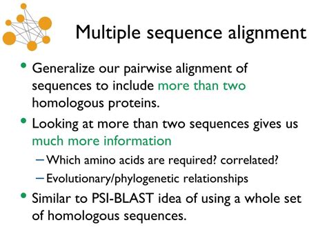 Ppt Multiple Sequence Alignments And Sequence Profiles Powerpoint