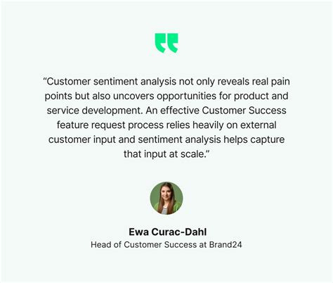 How To Do Customer Sentiment Analysis 2026 Guide Brand24