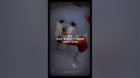 걱정하지마 연정이 짱이 영원한사랑 Youtube