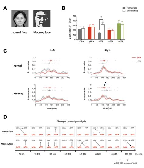 Temporal Response Characteristics And Granger Causality Analysis For Download Scientific