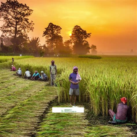 Rishu Agarwal Posted On Linkedin