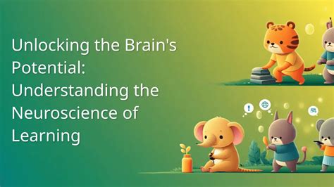 Unlocking The Brains Potential Understanding The Neuroscience Of Learning