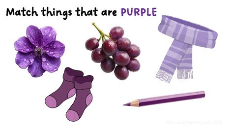 Identical Colorful Matching By Anna Cat Teaching Tools Tpt