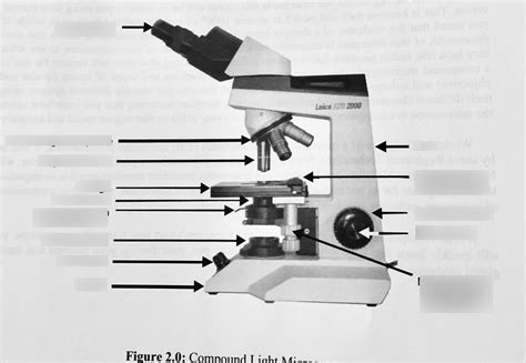 Labeling Compound Light Microscope Diagram Quizlet