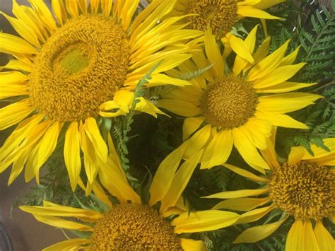 Daniela Gerstmann On Linkedin Iwd2024