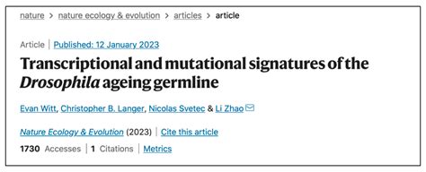 当爹要趁早！研究发现：年纪越大遗传给孩子突变基因越多！ 男性 精子 年龄