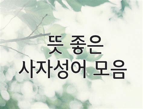 뜻 좋은 사자성어 이런 예쁜 의미도 있었네 네이버 블로그