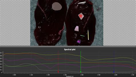 Detecting Foreign Objects On Food With The Specim Fx17 Hyperspectral Camera Specim