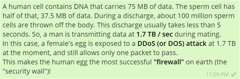 Pun The Most Secure Firewall DevRant