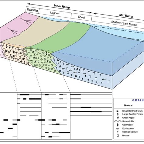 Microfacies Of The Kuh E Siah Section A Aggregatepeloid Download