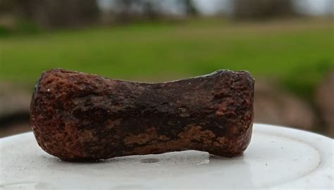 Se Texas Tail Bone Fossil Id The Fossil Forum