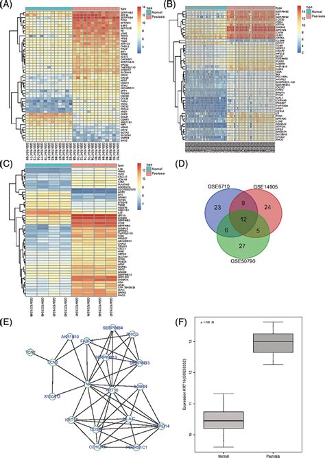 krt16 is differentially expressed in psoriasis through microarray‐based